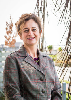 Our Team - Halswellhealth